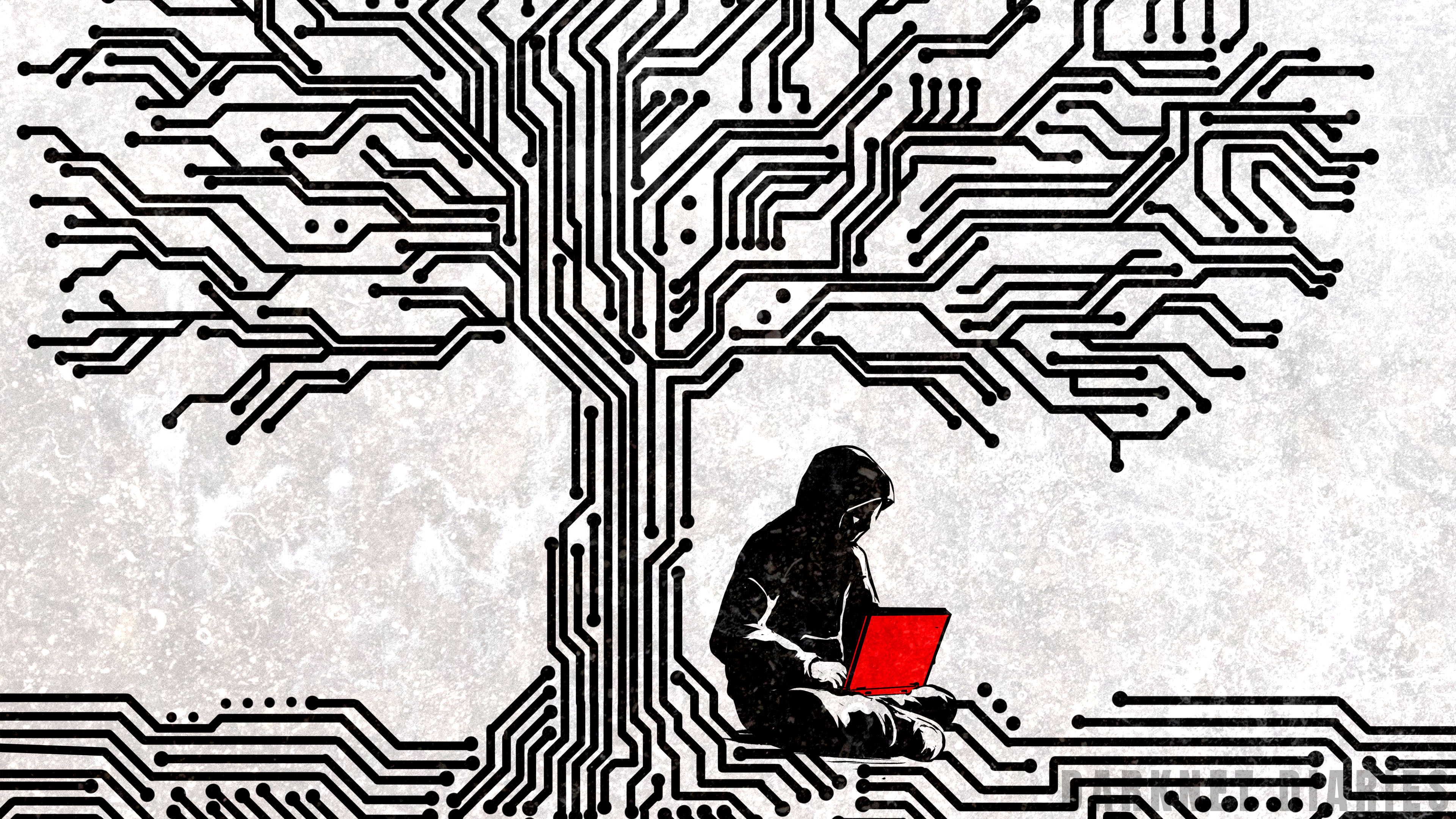 Wallpaper Artwork – Darknet Diaries